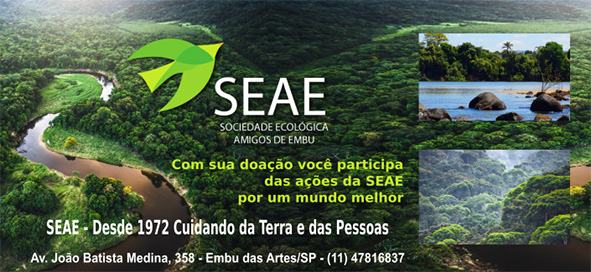 SEAE lança projeto educacional para prevenção de mortes por desastres ...